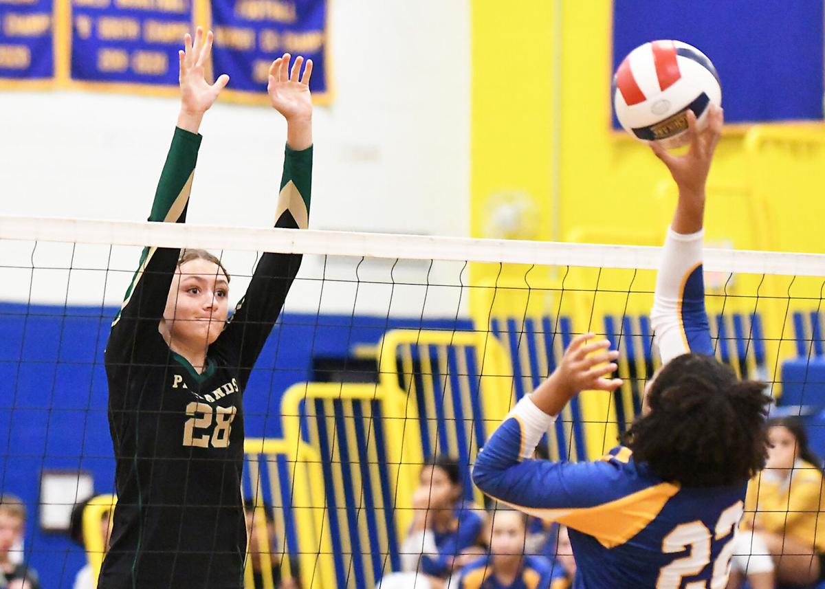 Pinelands advance to Shore Conference volleyball final