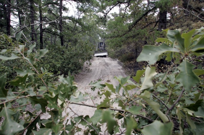 Bass River Township forest fire about 80 percent contained, but hot ...