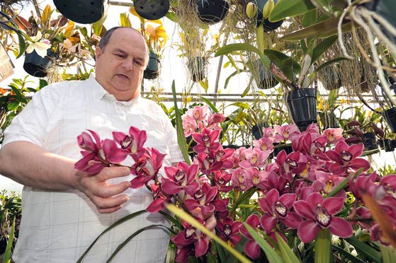 Linwood's Waldor Orchids turns Philadelphia Flower Show into a tropical ...
