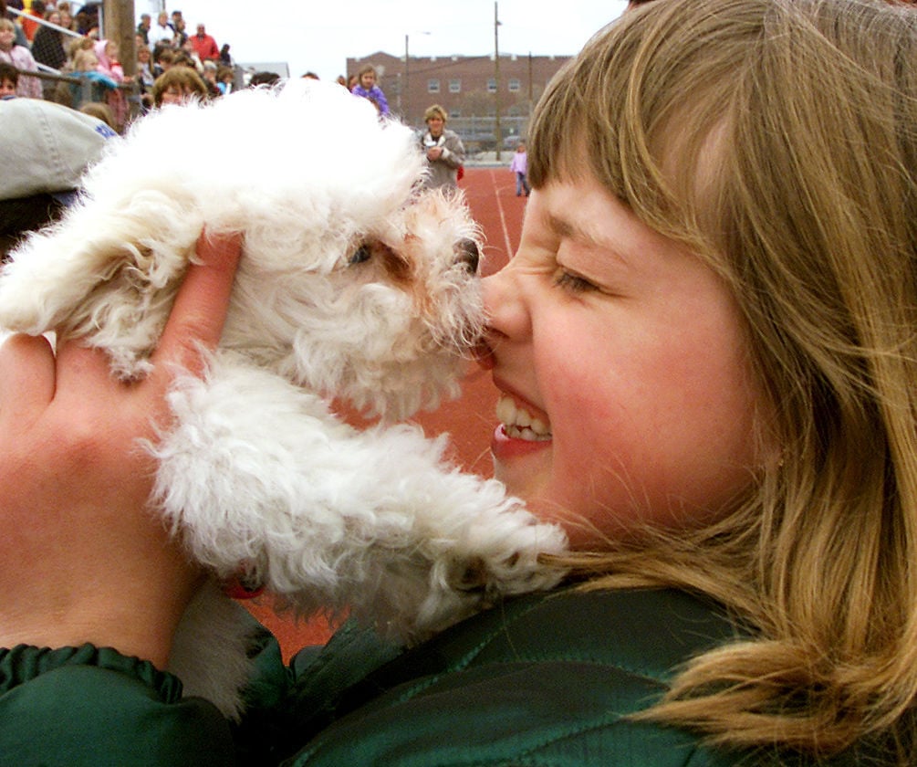 Amanda Lawhead's Instagram, Twitter & Facebook on IDCrawl