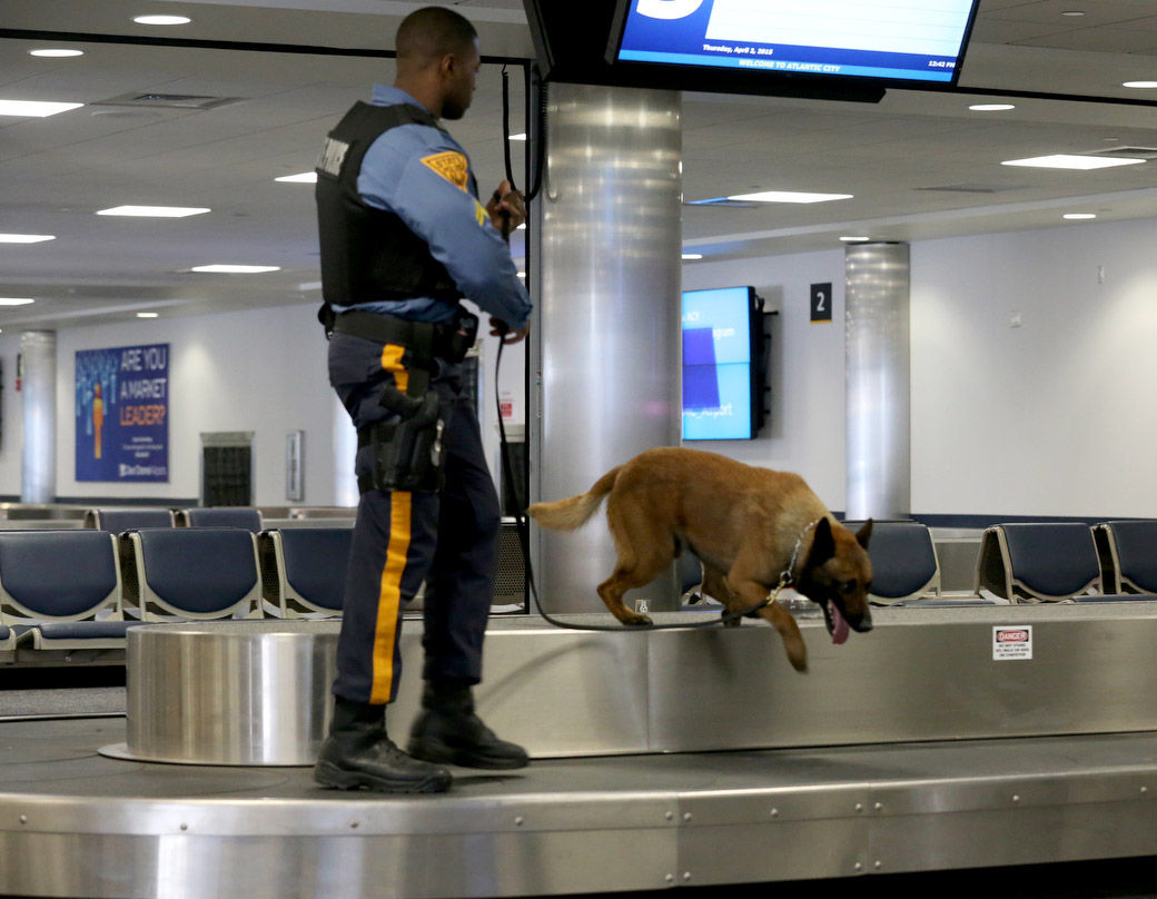 K-9 Training at AC Airport