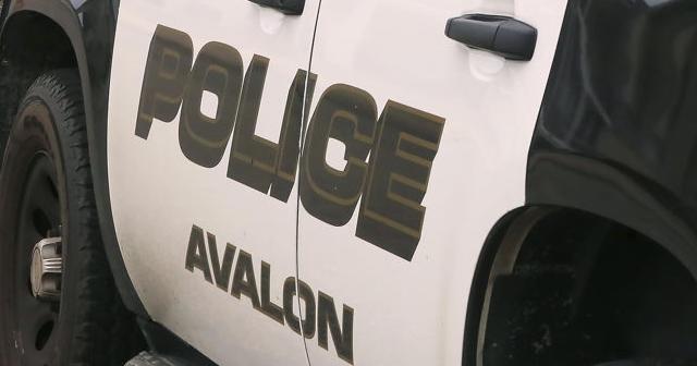 Avalon police seek car thieves