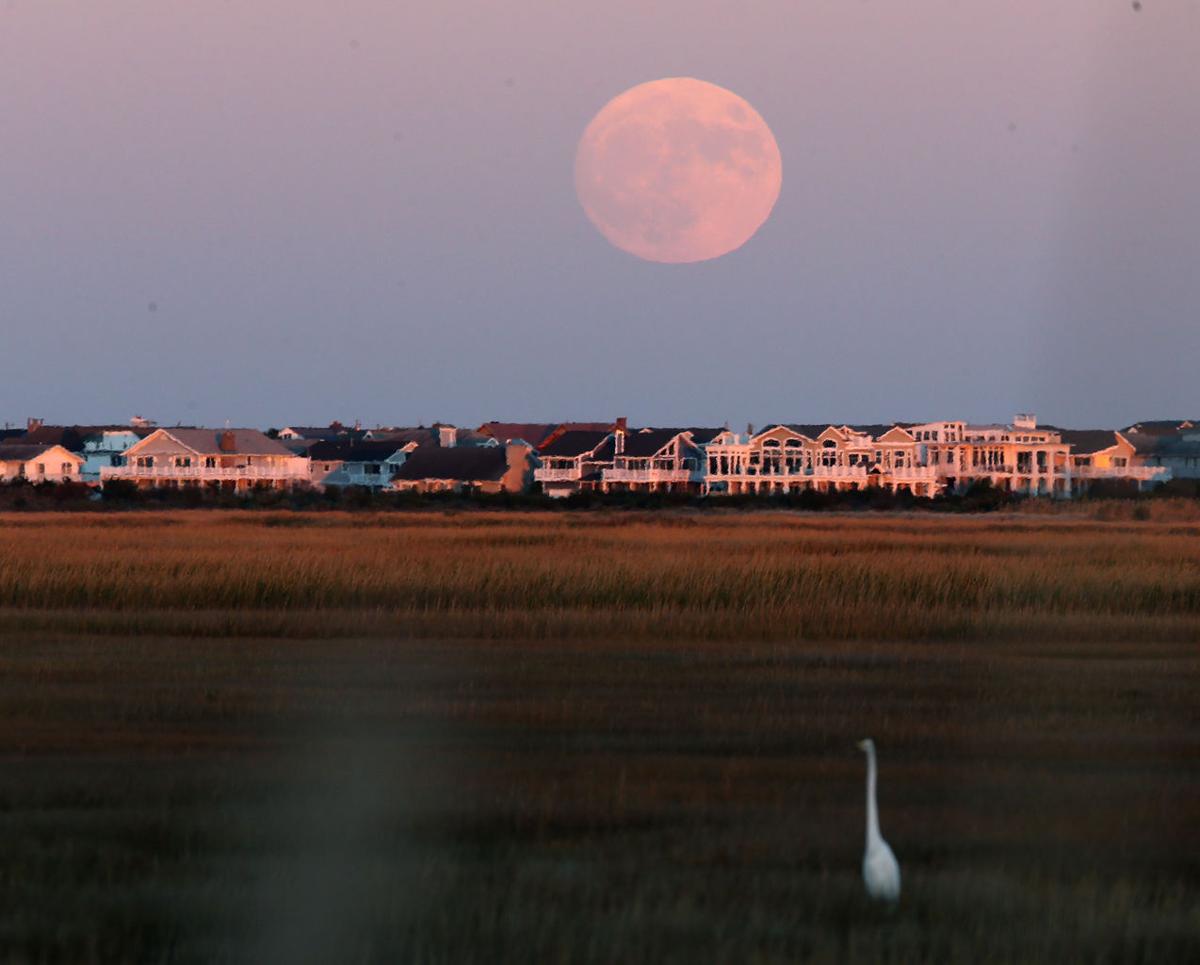 Biggest full moon in 68 years dominates South Jersey sky | Local News ...