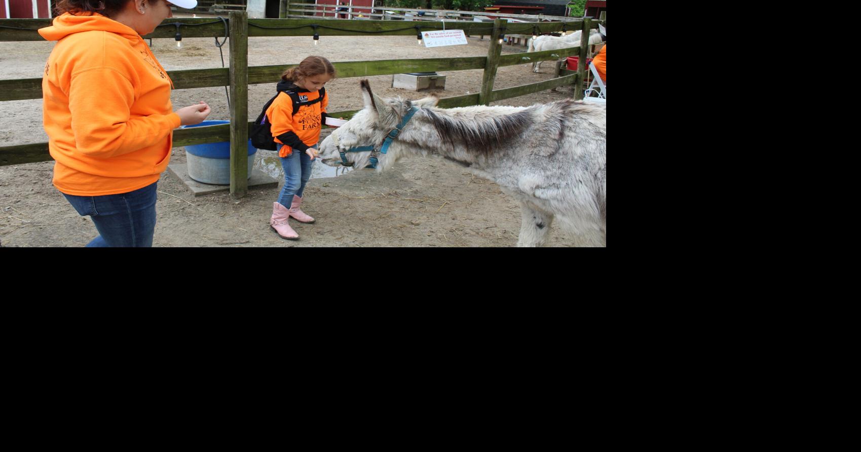 Funny Farm's Spring Festival shows value of volunteer staff