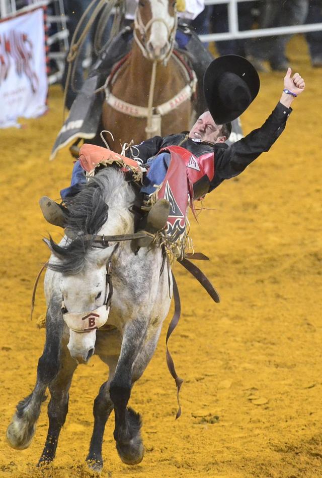 Boardwalk Rodeo -- Saturday