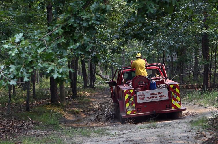 New Jersey Forest Fire Service extinguishes woods fire in Egg Harbor ...