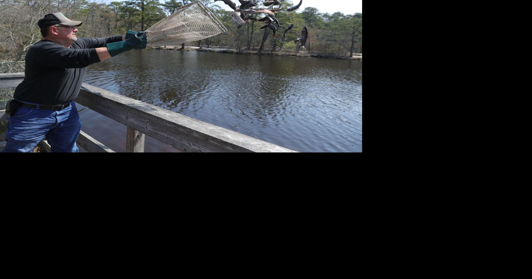 GALLERY: A nice day at Birch Grove Park in Northfield