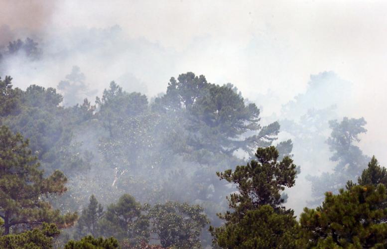 New Jersey Forest Fire Service extinguishes woods fire in Egg Harbor ...