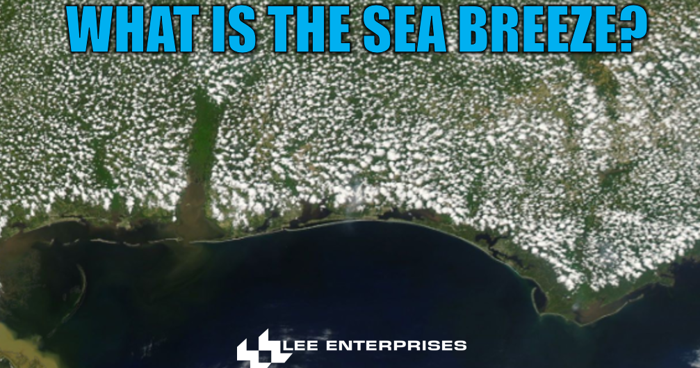 Sea breeze fronts: Why they form and how they change weather