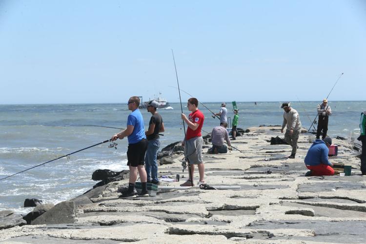 Bluefish surge in South Jersey, 'epic right now'