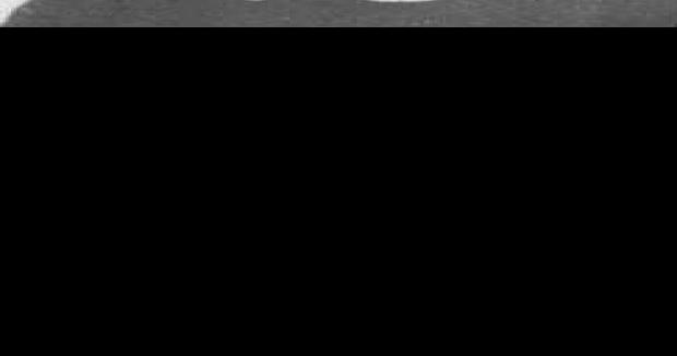 EICHINGER, JOYCE C. (nee CUNNINGHAM) 74