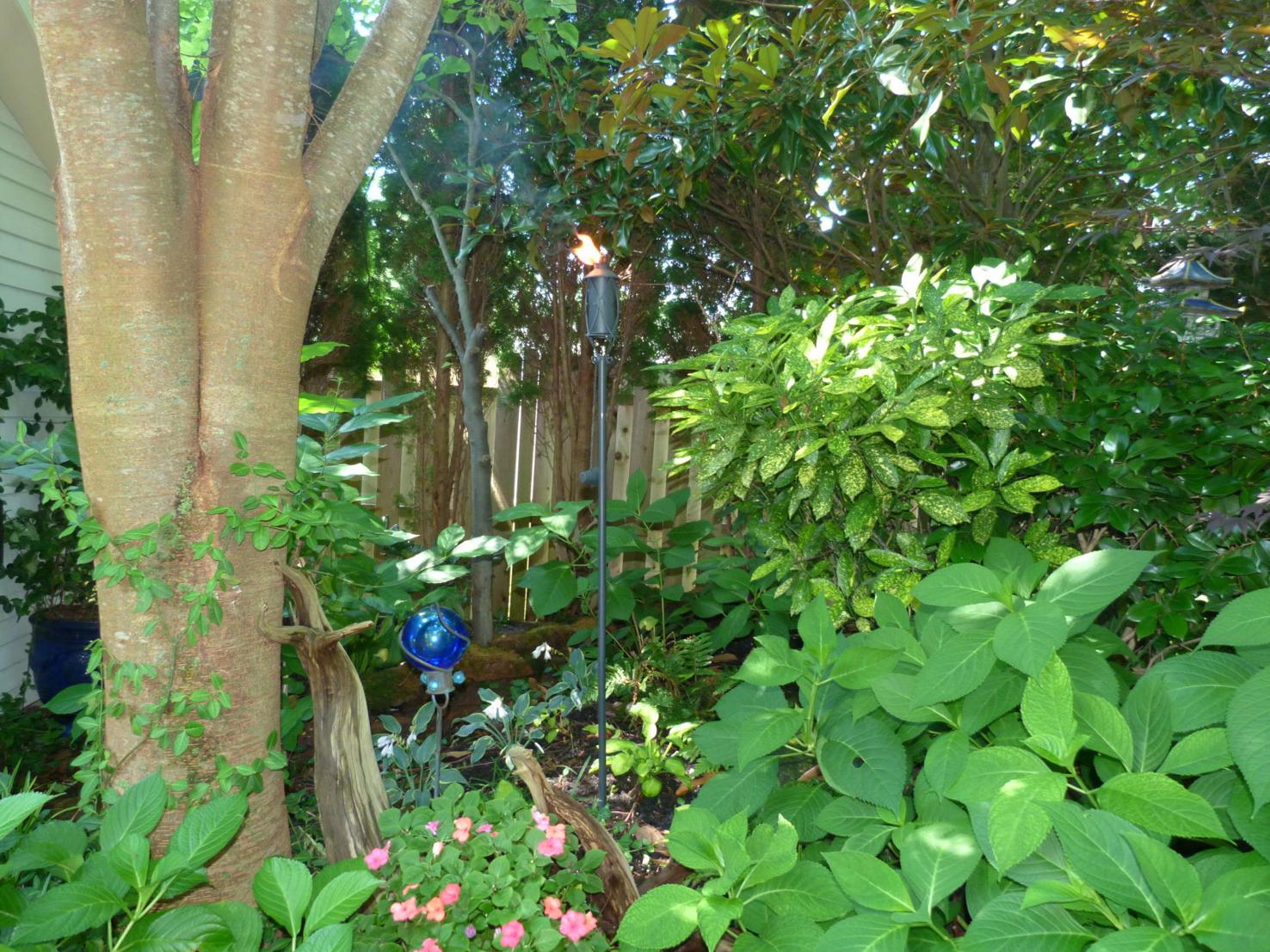 Atlantic County's Little Gardens have big surprises in store