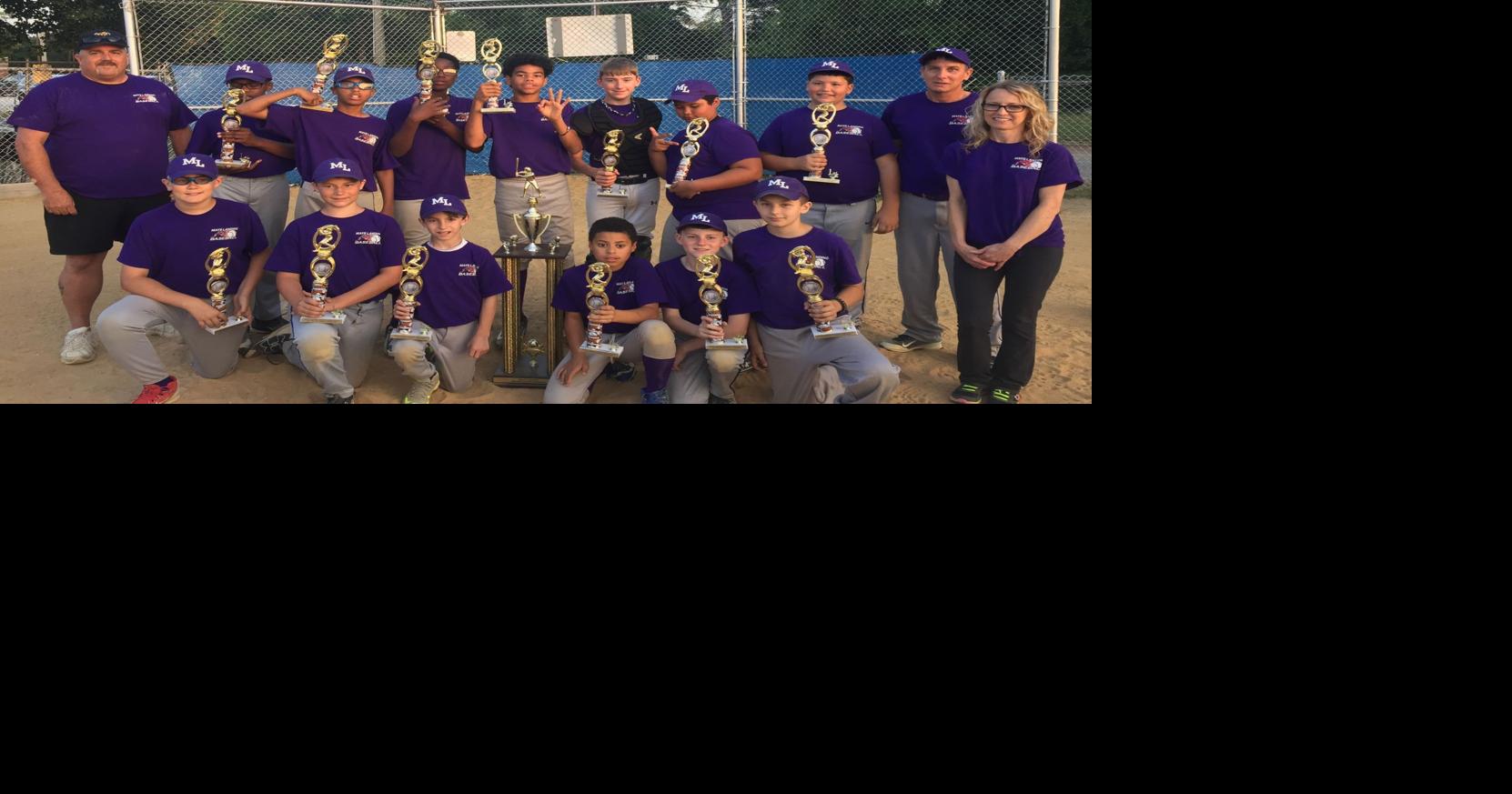 Wildcats claw their way to baseball title