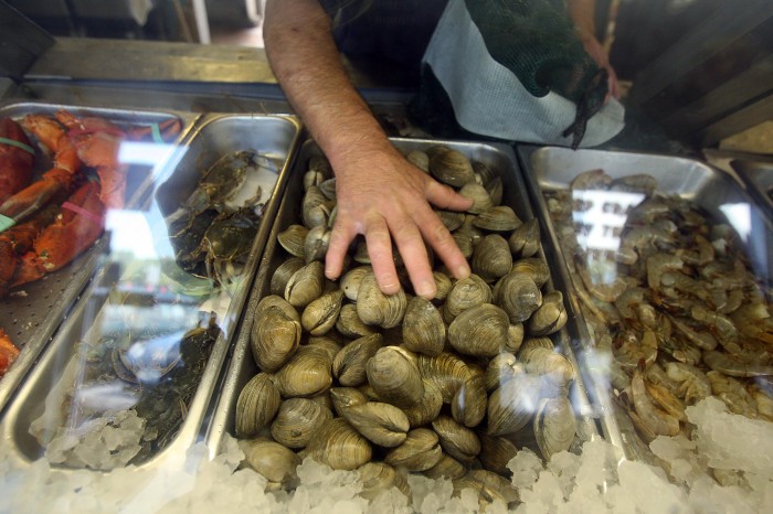 Oversight of New Jersey's shellfish industry lacking, group finds