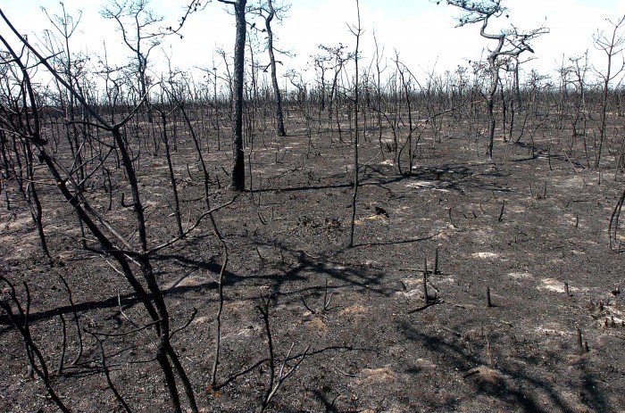 Air Force to reimburse Barnegat Township $80,000 for Warren Grove fire ...