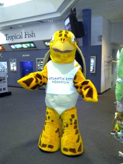 At The Shore Today: Atlantic City Aquarium has a new mascot