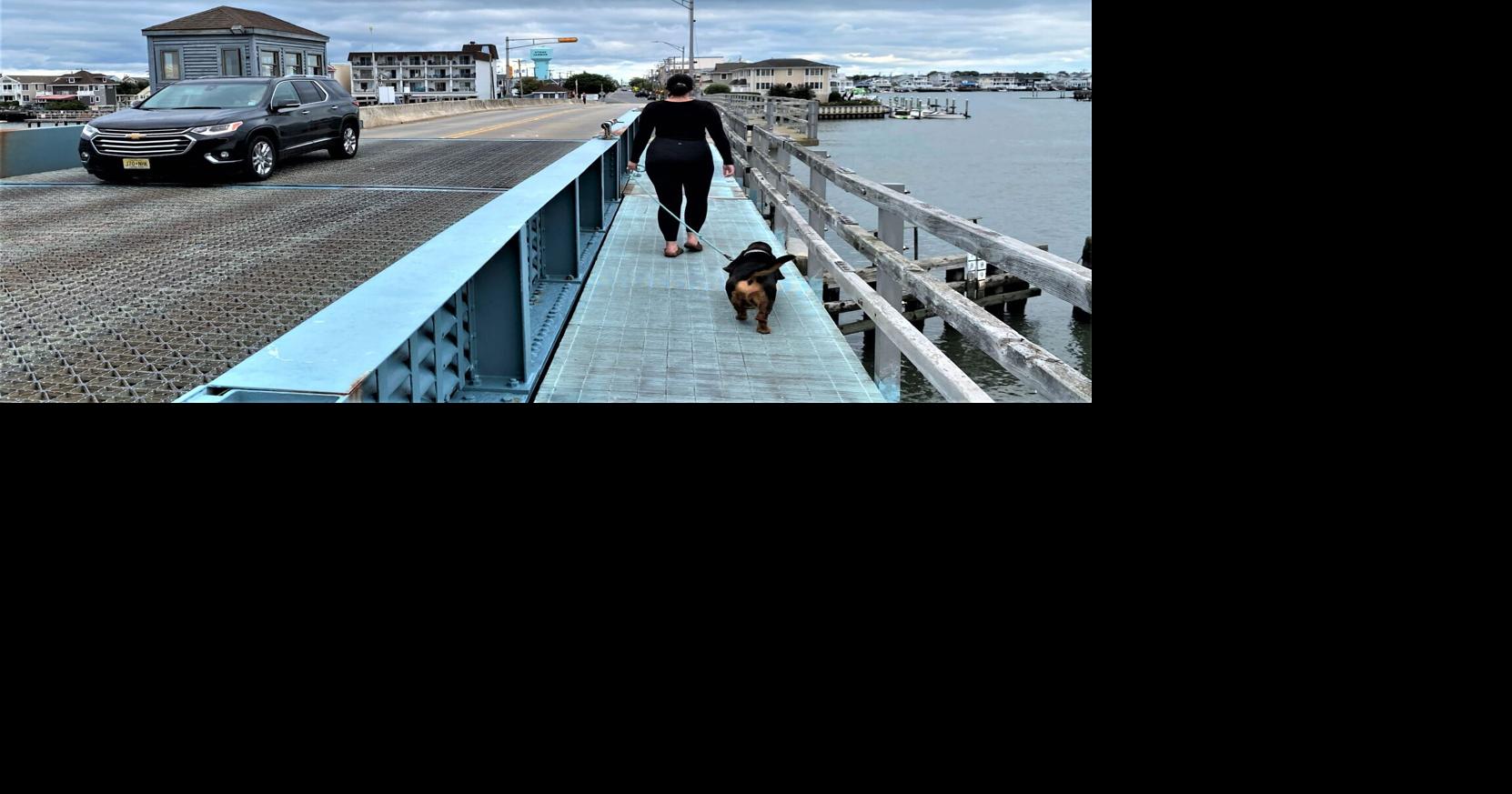 Work to begin in fall on Stone Harbor bridge replacement