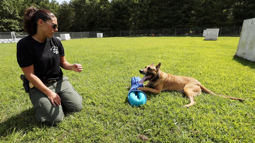 Policewomen and their K-9s take a bite out of crime