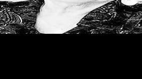 CAMPIONE, MARY ANN (nee Caracciolo) | Obituaries | pressofatlanticcity.com