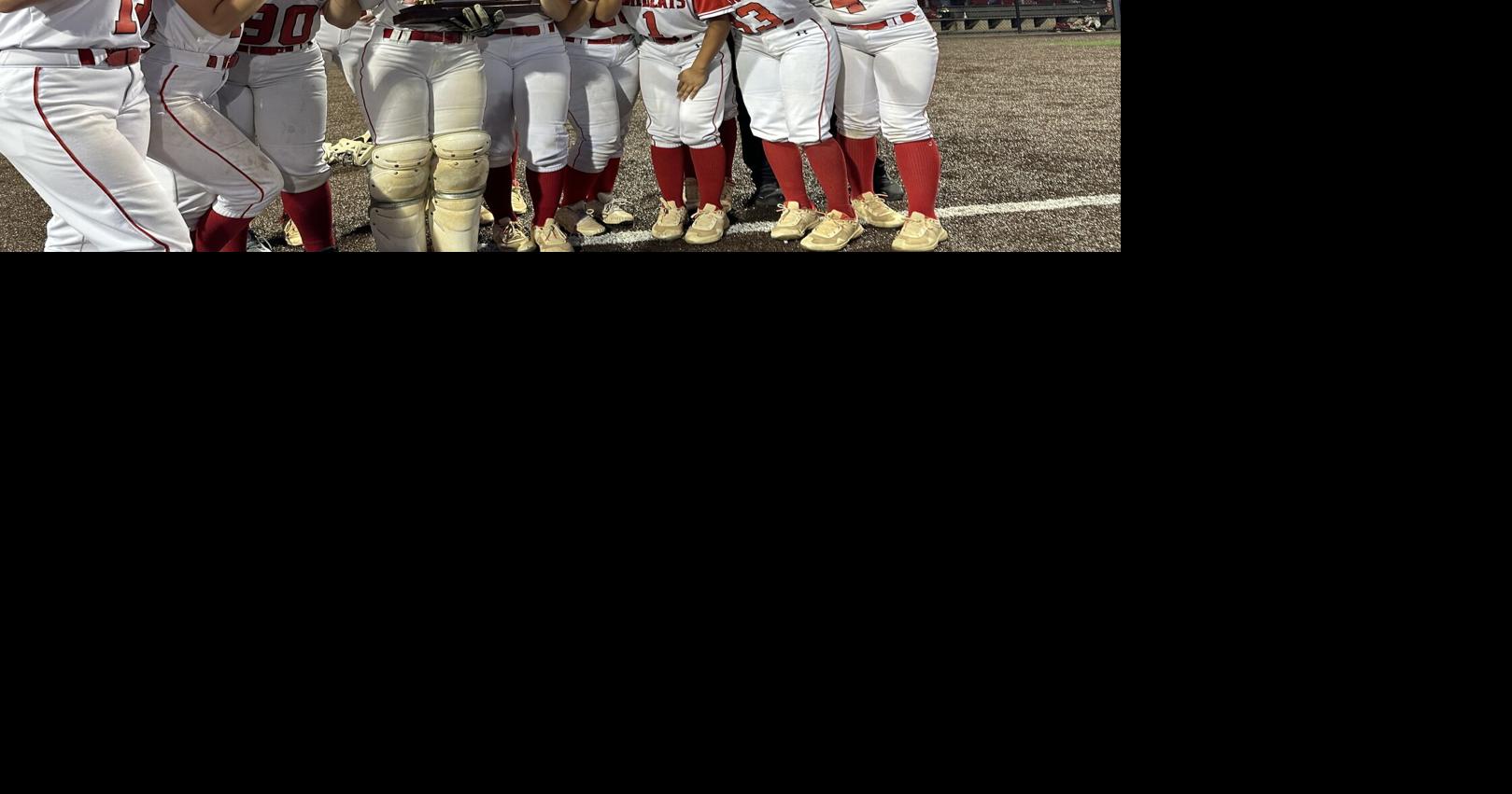 St. Joseph Academy wins state softball championship