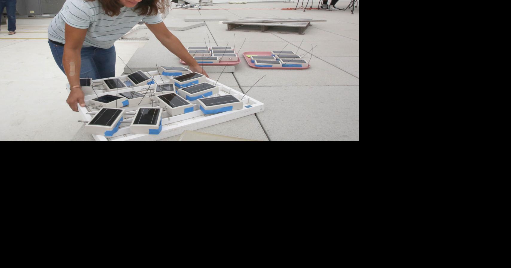 GALLERY: Cellular Tracking Technologies bird data