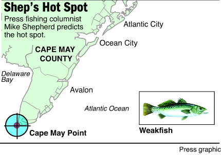 Shep on Fishing: Weakfish an early season surprise
