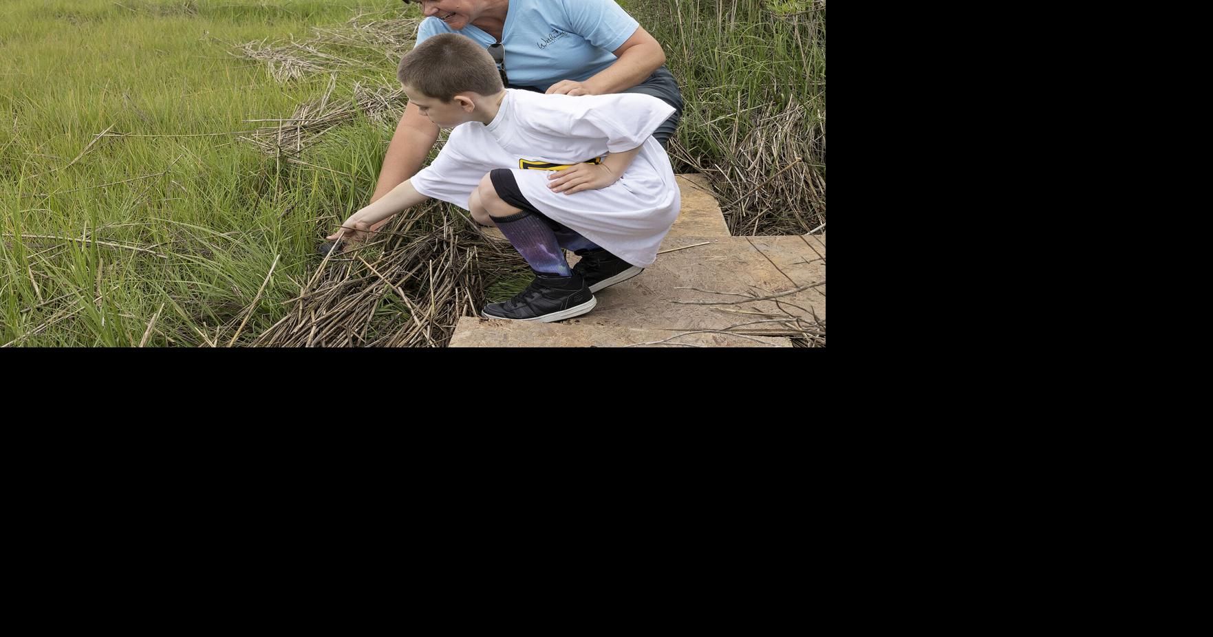 Local kindergarteners release terrapins back into wild