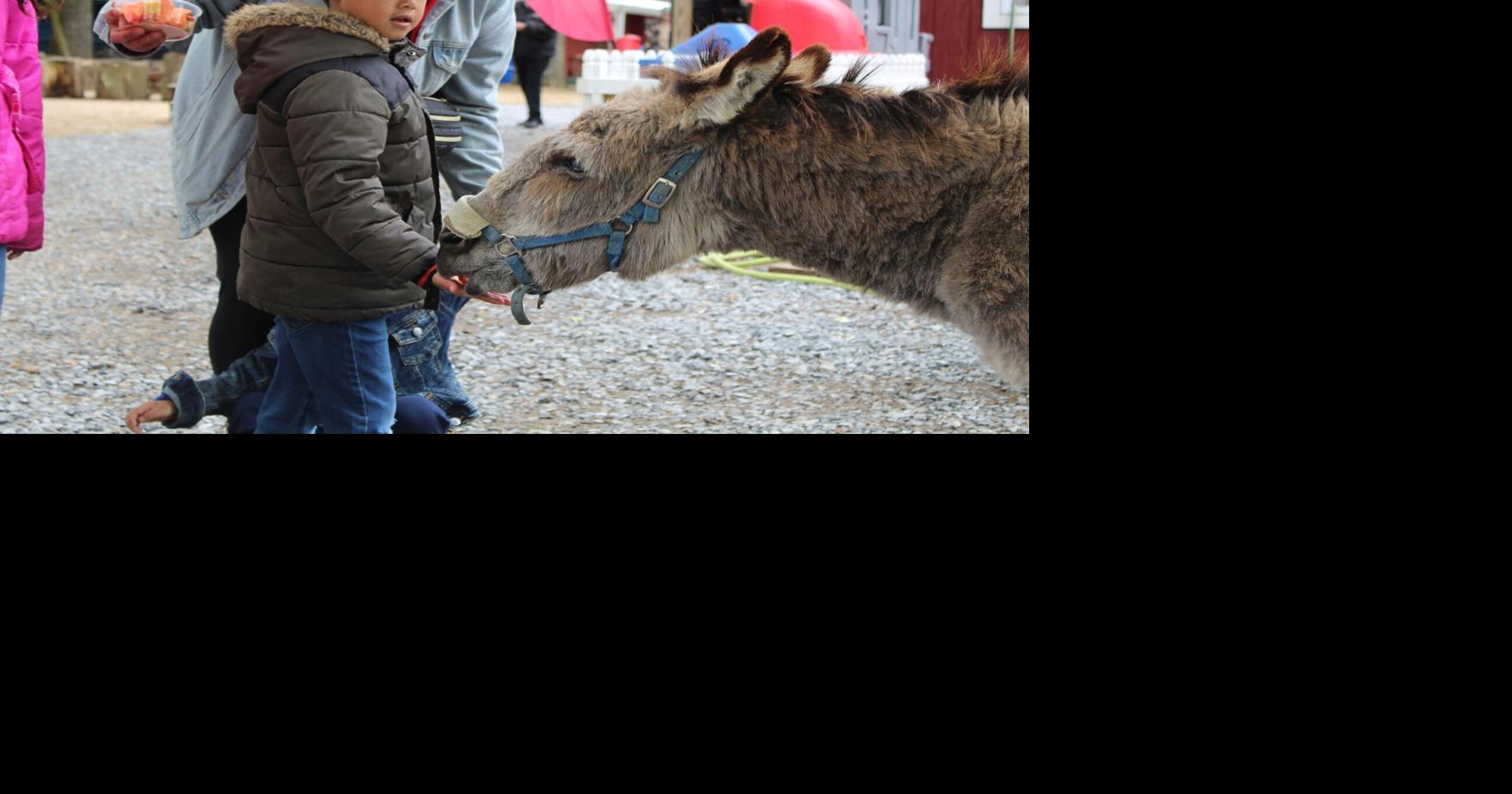2nd annual Funny Farm Spring Festival