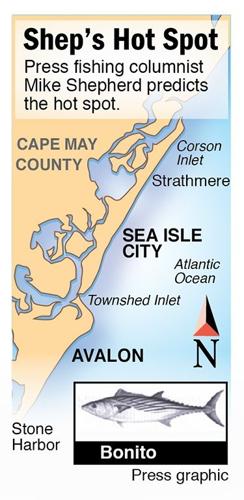 Shep on Fishing: Inshore or offshore, you can't lose