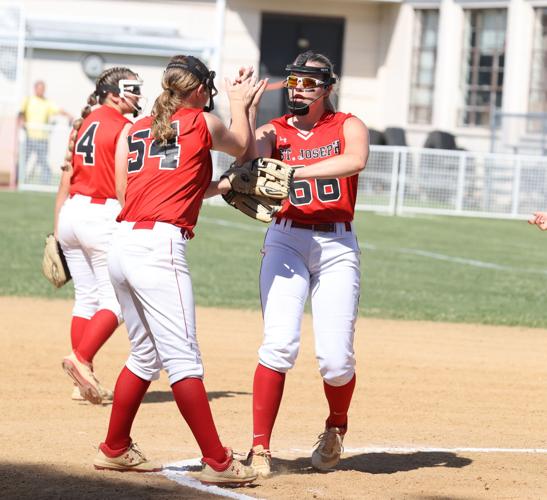 St. Joseph wins S.J. softball title, will play for state championship ...