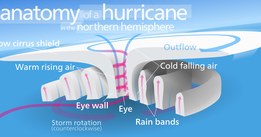 Tropical definitions: Terms you should know