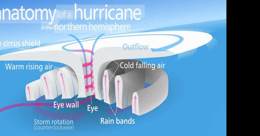 Tropical definitions: Terms you should know