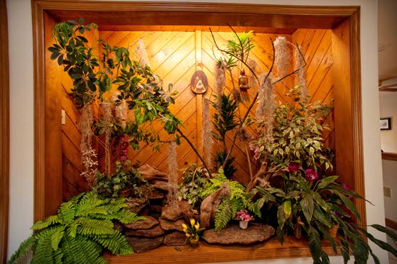 Building a bigger rancher