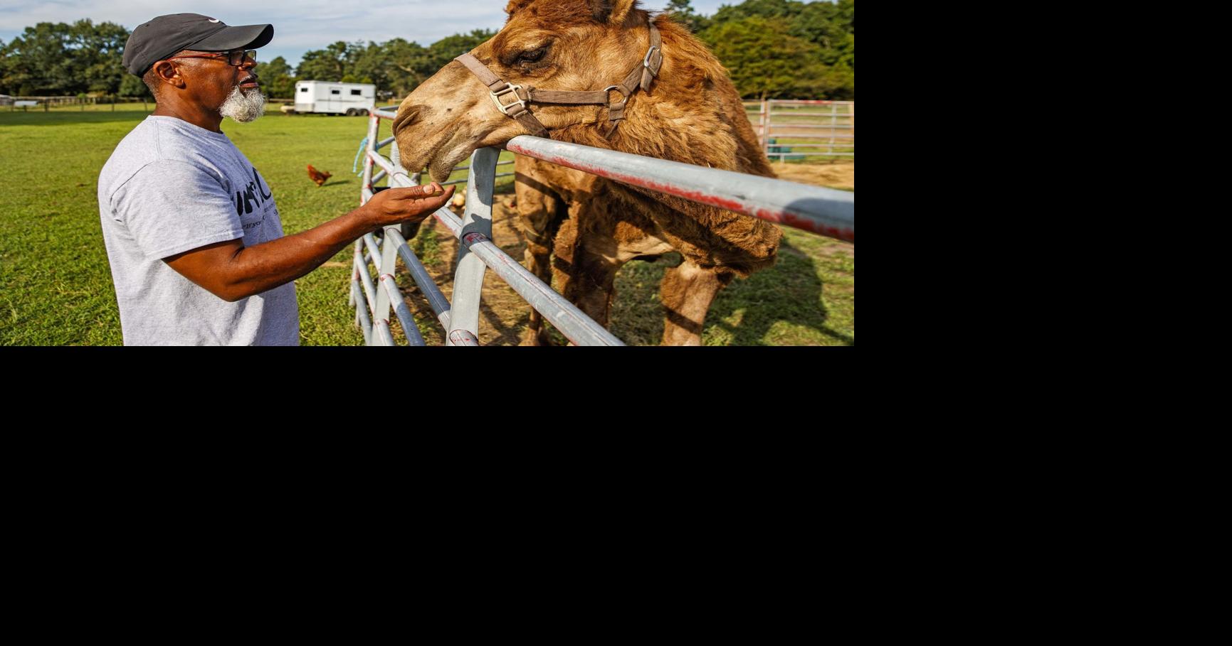 Rev. Collins Days finds happiness walking with and talking to his animals