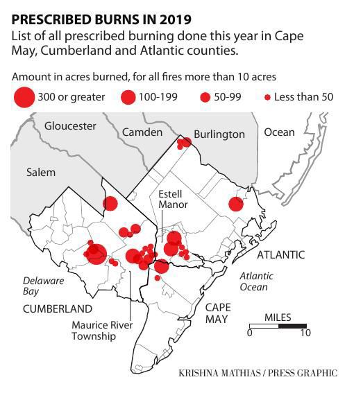 Even a record wet year in NJ won't extinguish forest fire threat