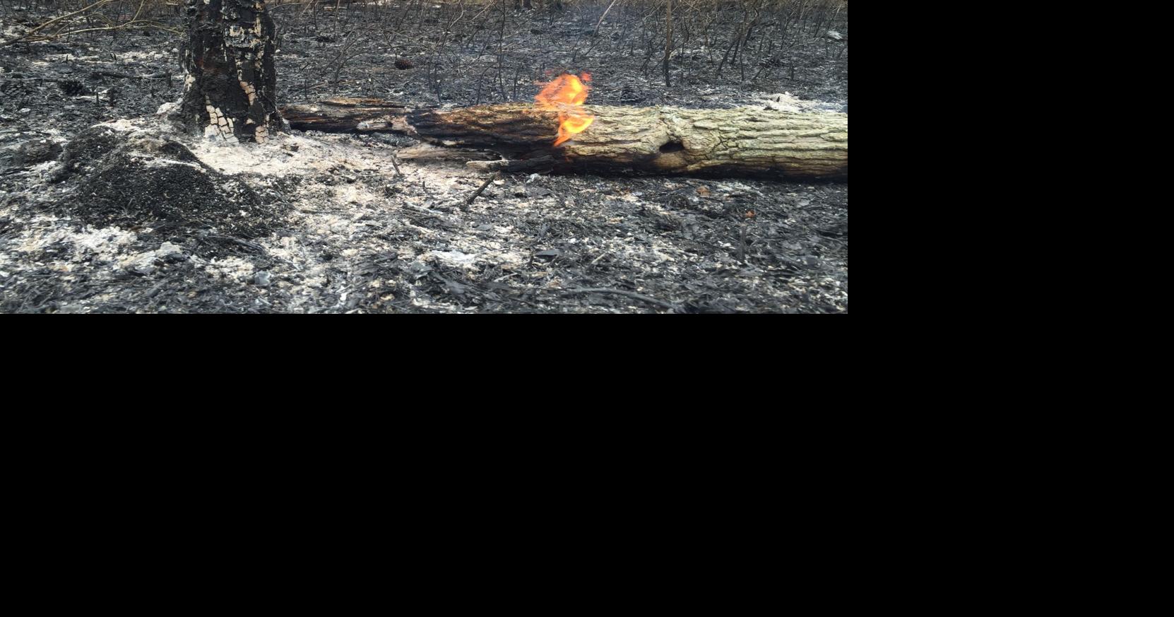 Fire in Bass River forest 60% contained