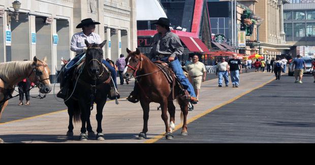 Riders mounting for Atlantic City weekend rodeo
