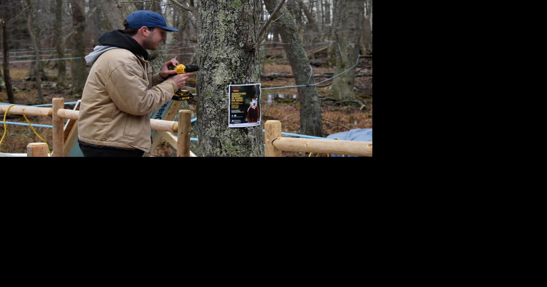 Stockton to host tour of maple syrup program