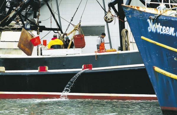 House approves extension of water discharge rule exemption for ...