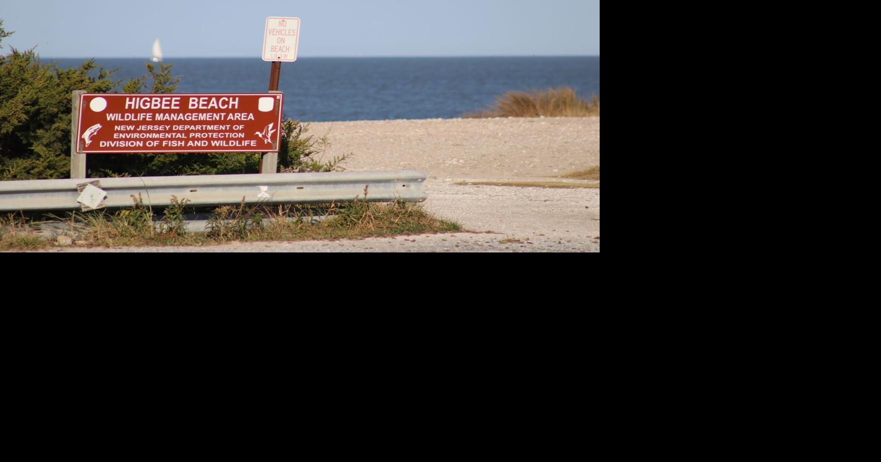 Work on Higbee Beach project expected to start in March