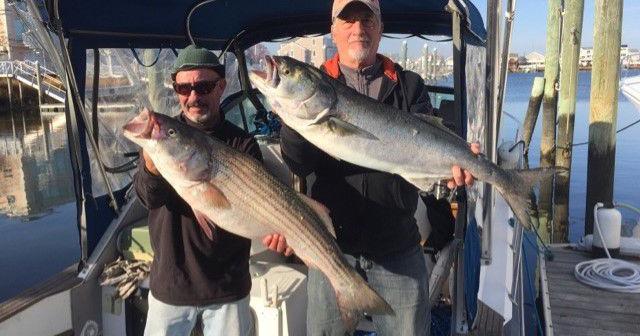Brigantine fishing: Tog mania tournament runs through Dec. 23