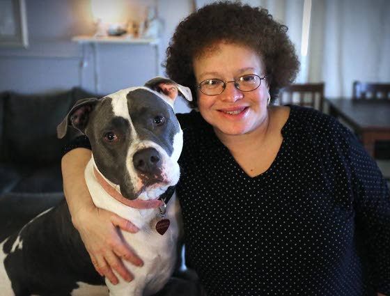 We've been framed: Some breeds stand accused of bad behavior