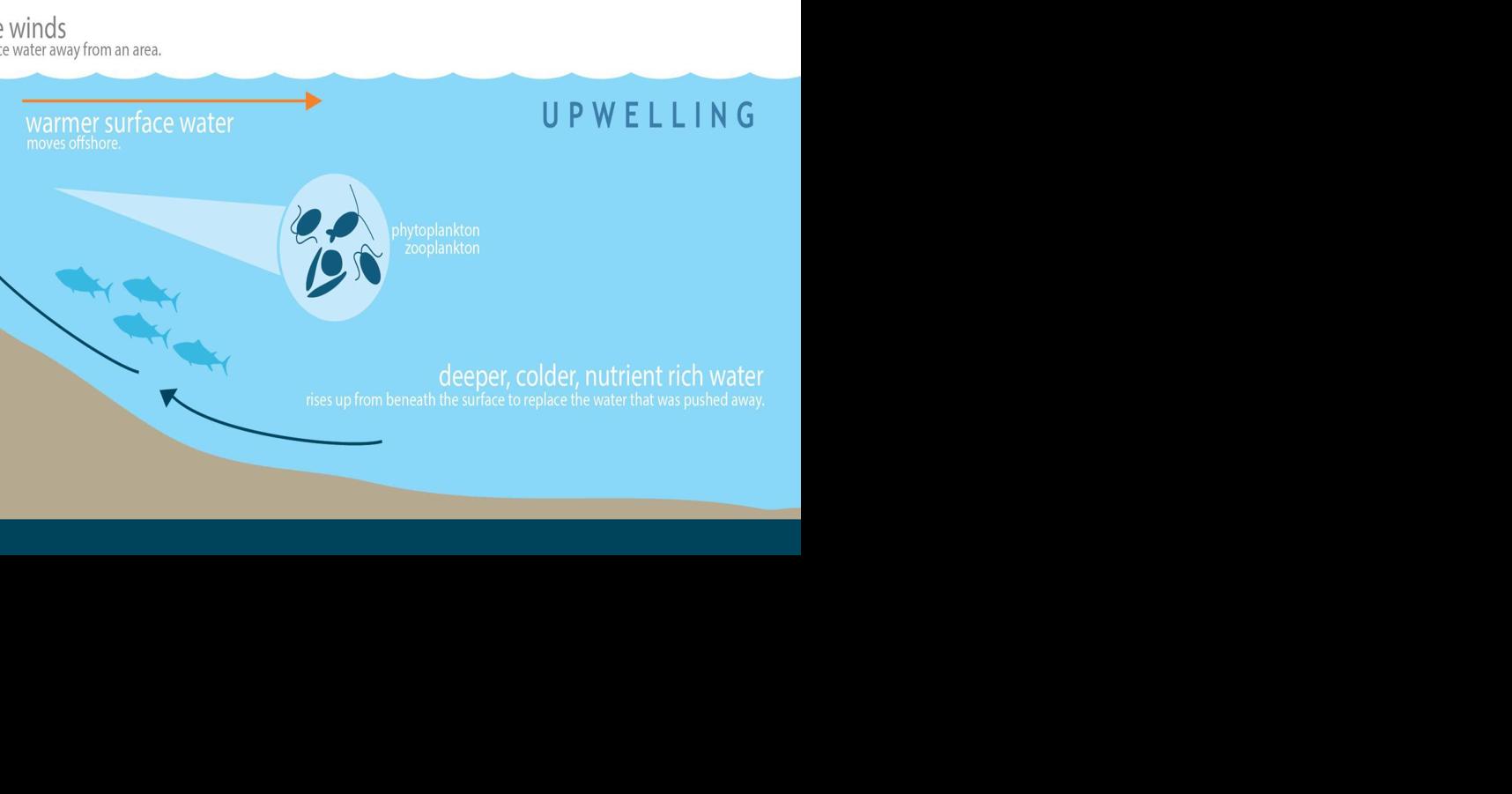 What is upwelling and why does it happen?