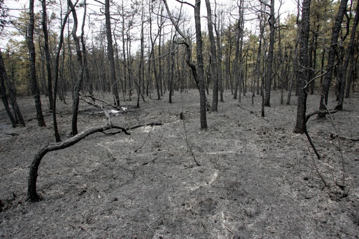 Bass River Township forest fire about 80 percent contained, but hot ...