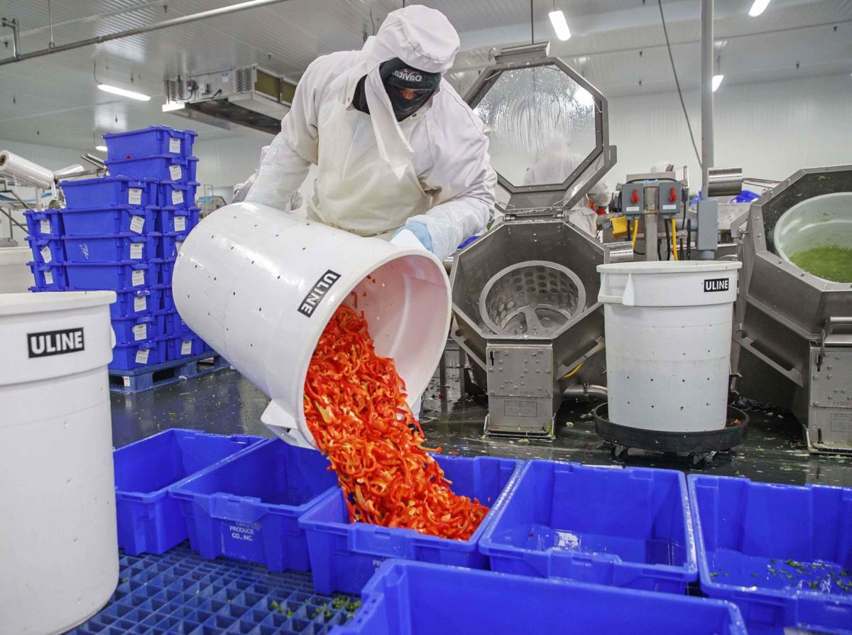 Inside Vineland's old Progresso plant, now home to a produce packaging ...