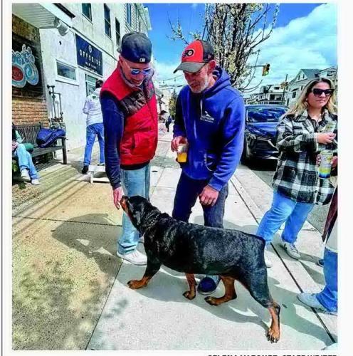 Page A2 eedition image