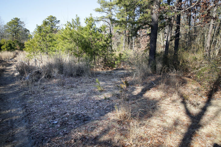 Alfred Wright Crime Scene