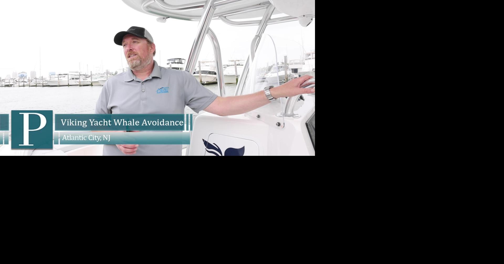 Viking Yacht Whale Avoidance Demonstration