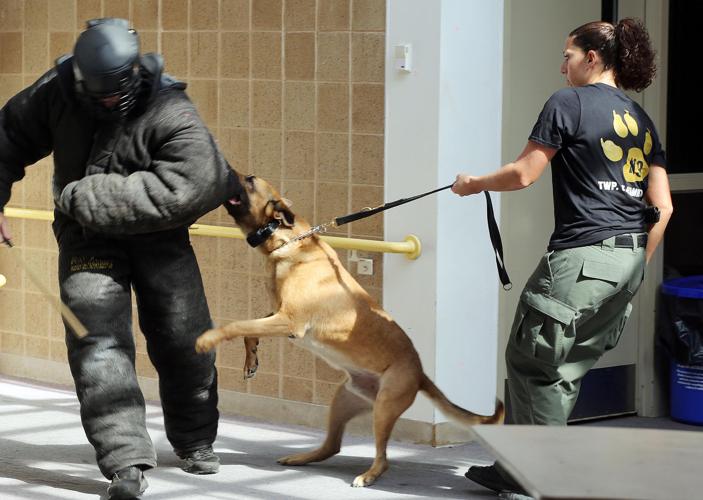 Policewomen and their K-9s take a bite out of crime