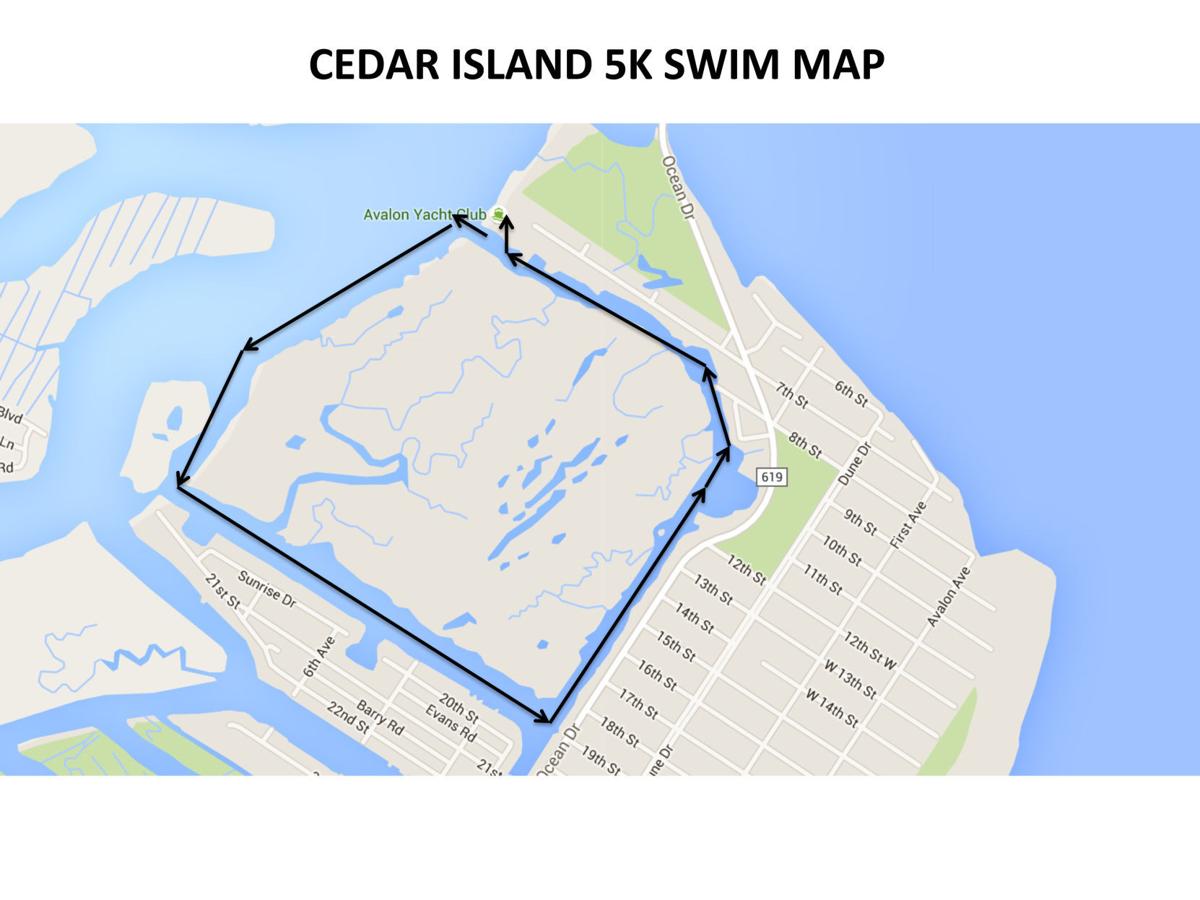 Cedar Island 5K Swim in Avalon takes strokes for charity